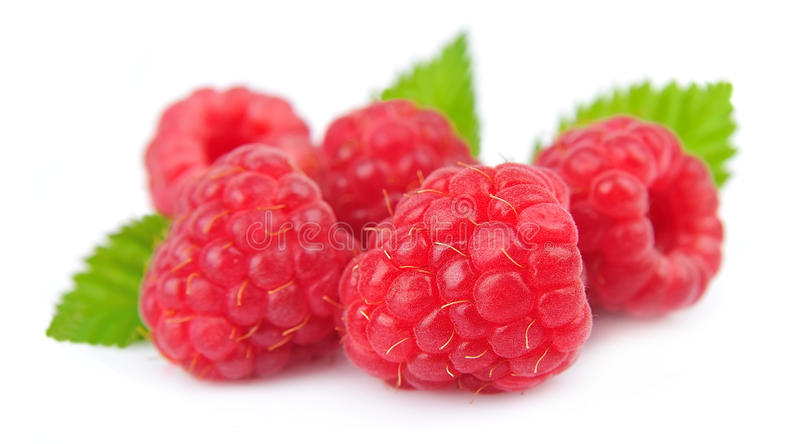 Harvestime Raspberries 1kg (10 X 1KG/BOX) - City Wholefood Distributor