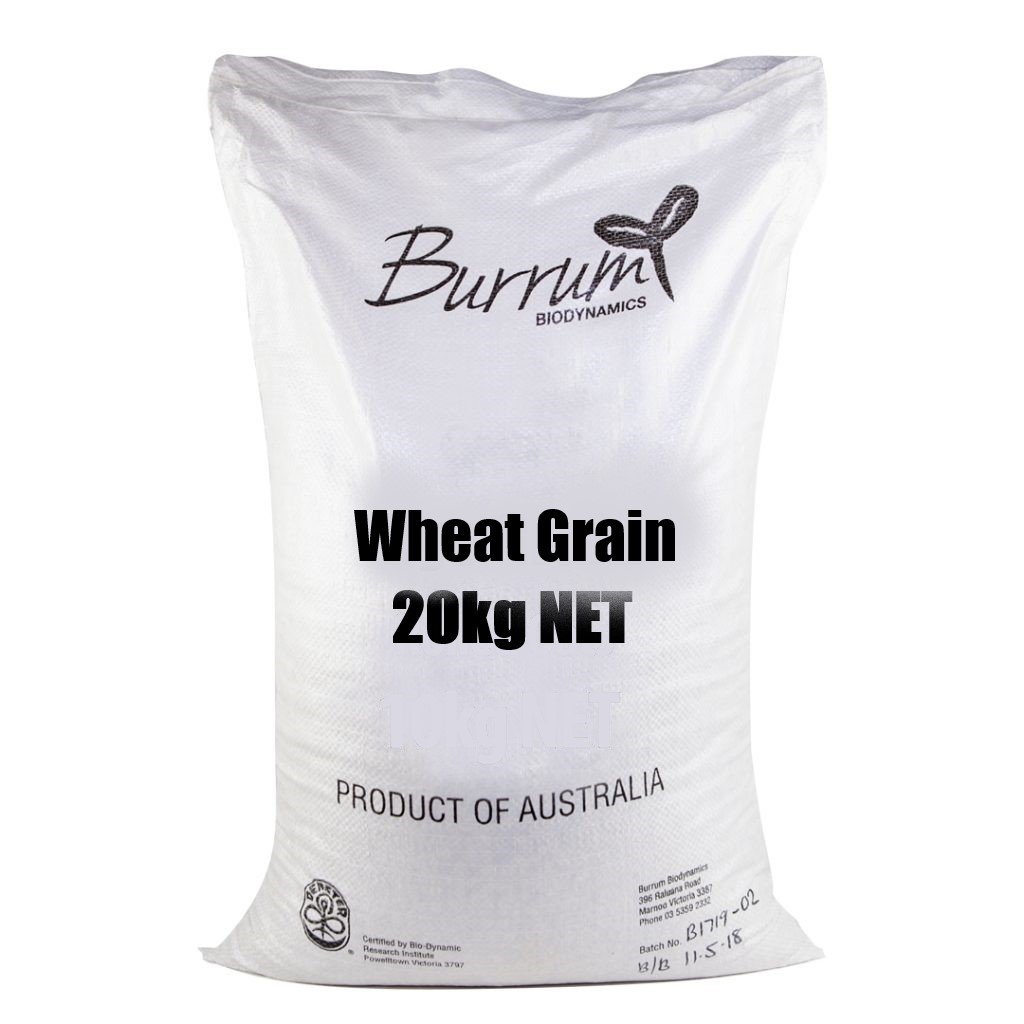 Bio Dynamic Wheat Grain 20kg - City Wholefood Distributor